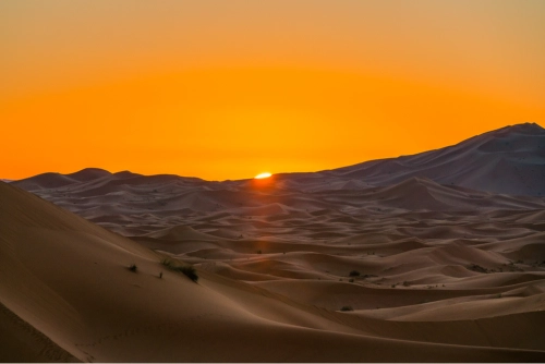 Morning Desert Safari Dubai With Sunrise Camel Ride